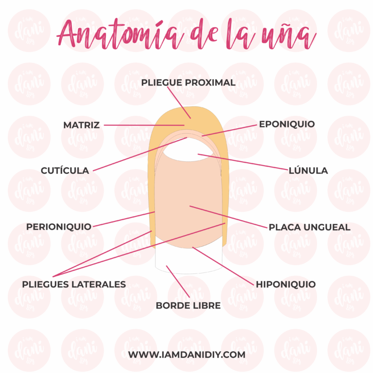 ¿Cómo medir las uñas para hacer Press On Nails?